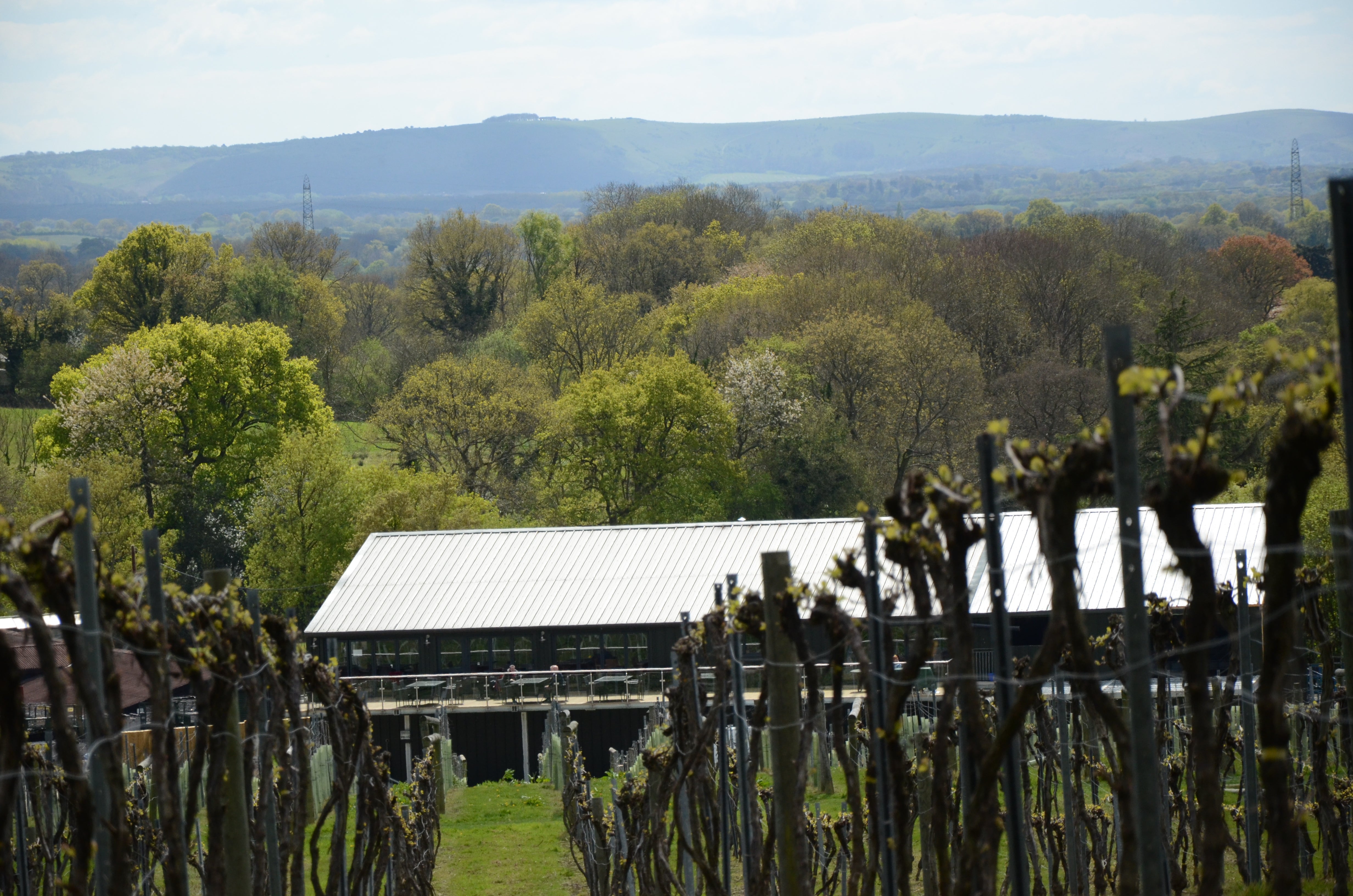 Bolney - English Wine Collection – The English Wine Collection